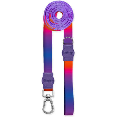 Guia Super Longa 5 Metros Padang Dog Trip Brasil | Petlove