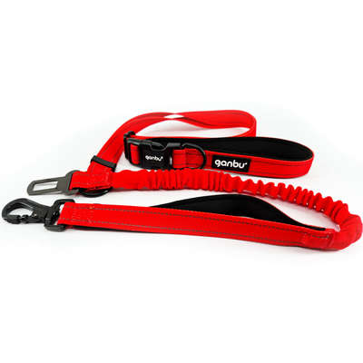 Guia Bungee Ganbu com Cinto Preto e Vermelho | Petlove